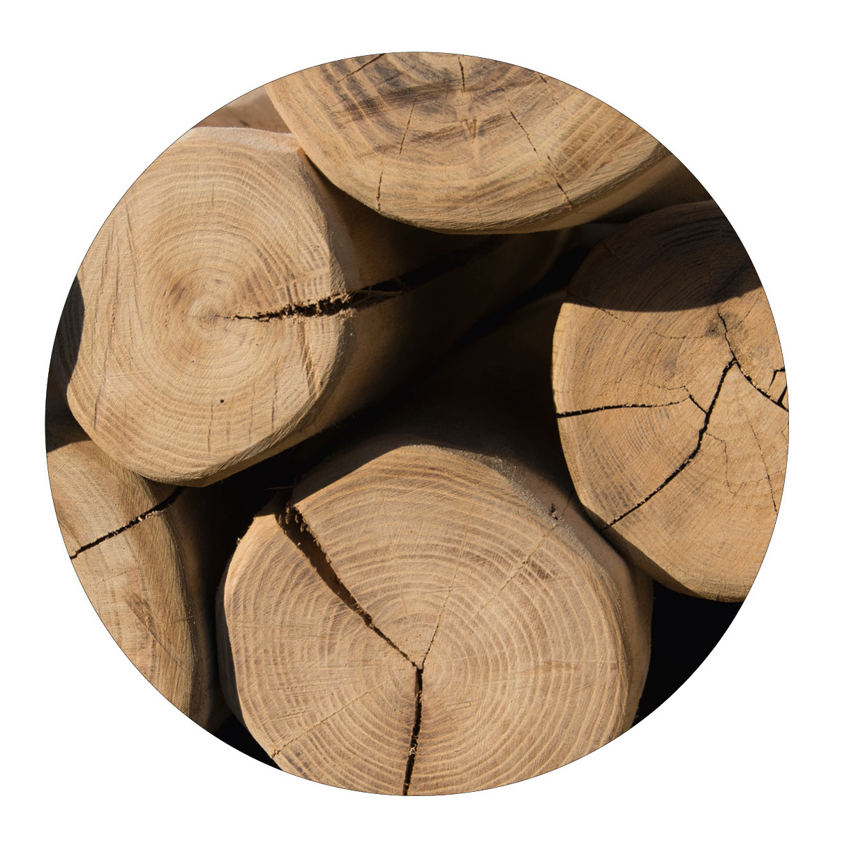 Houtsoorten | Houtland